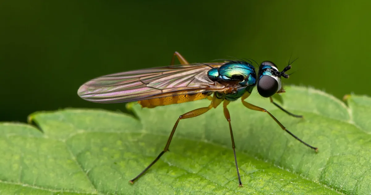 Which Animal Has the Longest Scientific Name? | Online Character ...